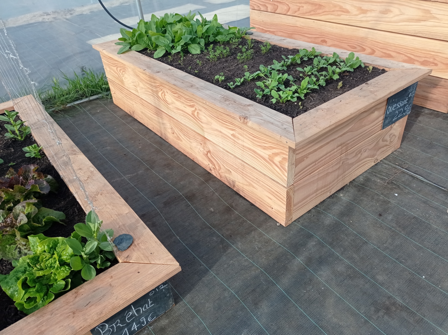 Jardin Fertile - Bac potager Ouessant 200x100x47cm