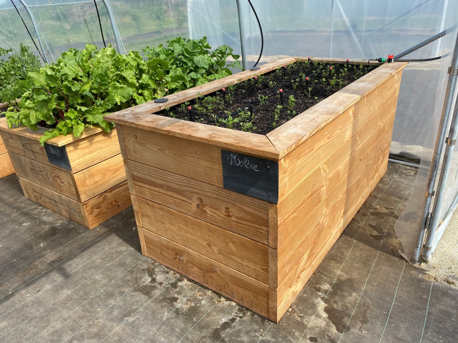 Jardin Fertile - Bac potager Molène 200x100x91cm